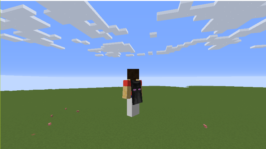 Skins Legs Not Showing Properly Unmodified Minecraft Client Support Support Minecraft