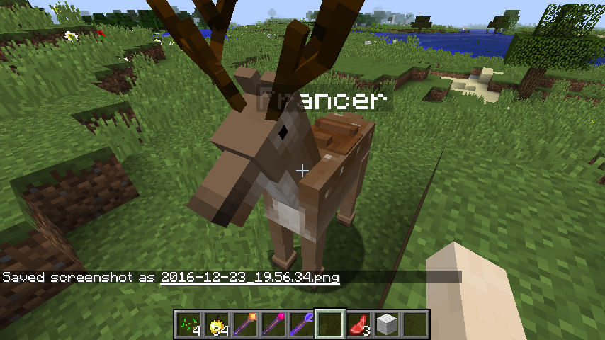 The Reindeer Breed has Arrived! - Wings, Horns, and Hooves, the ...