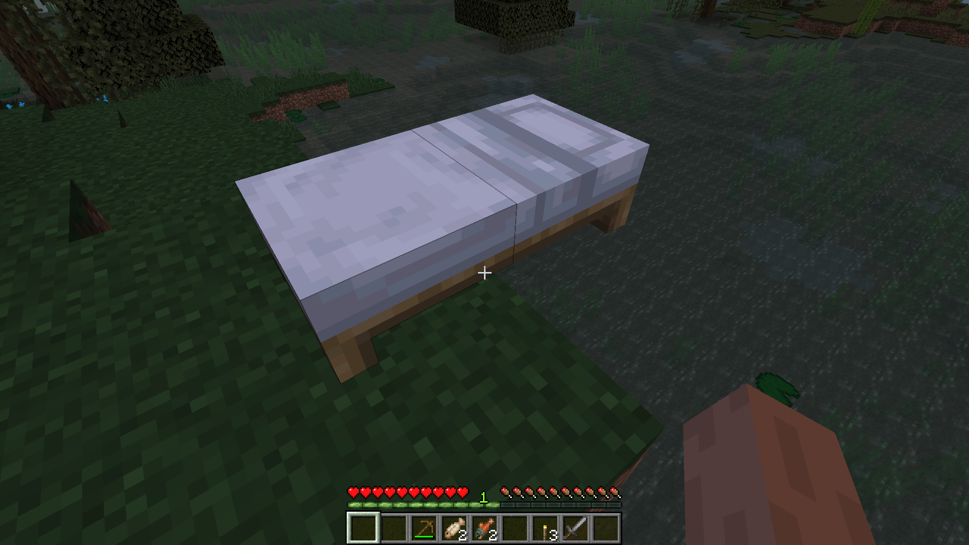Beds can still half float - Recent Updates and Snapshots - Minecraft ...
