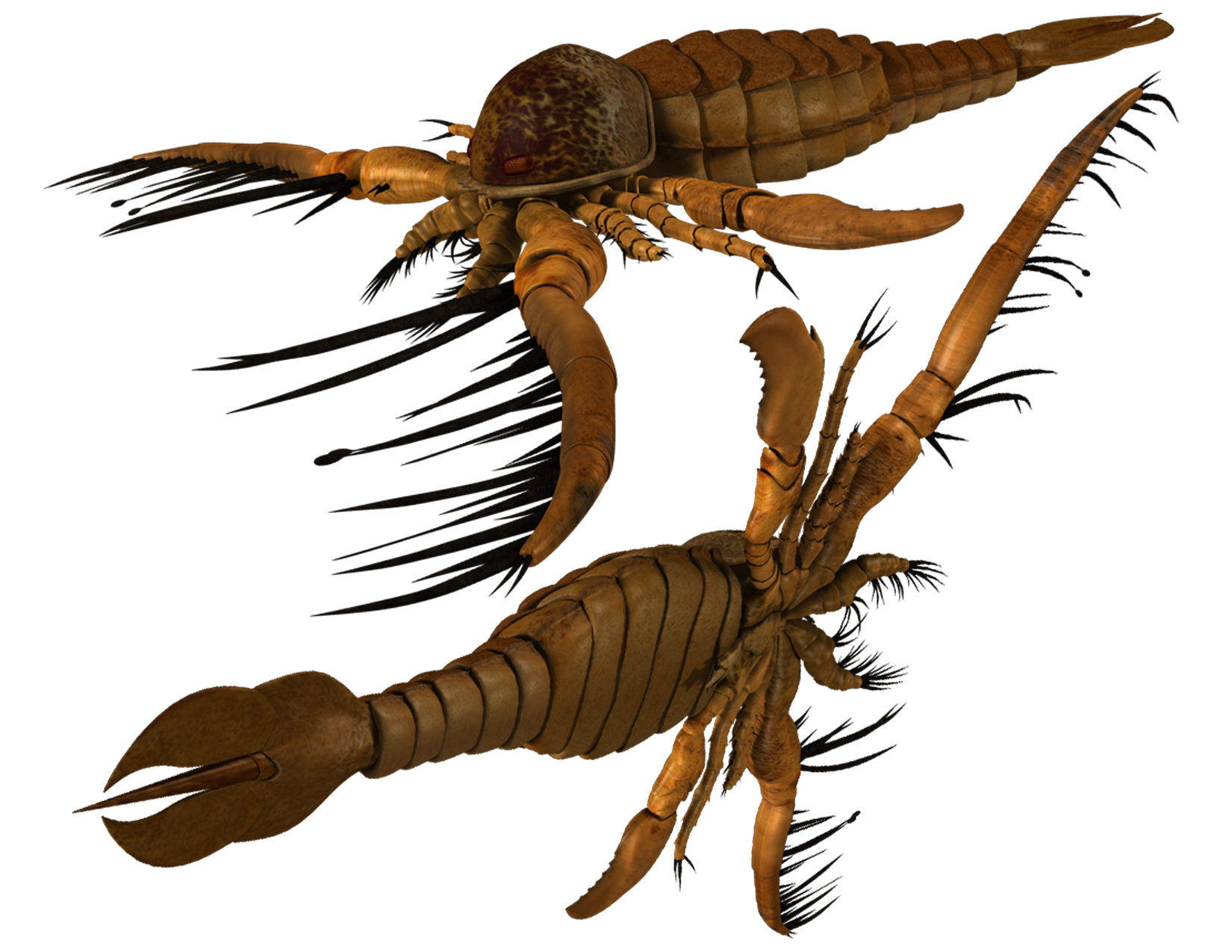 It's About Time! Mod Dev Thread - Mods Discussion - Minecraft Mods ...